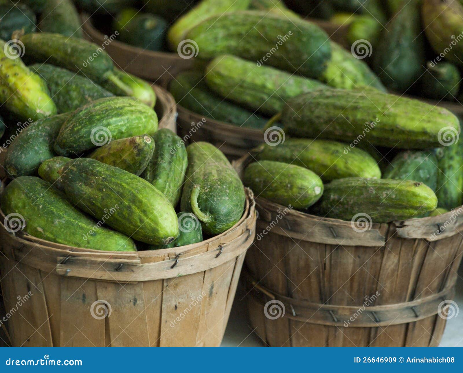 Pickles imagem de stock. Imagem de mercado, verde, vegetal - 26646909