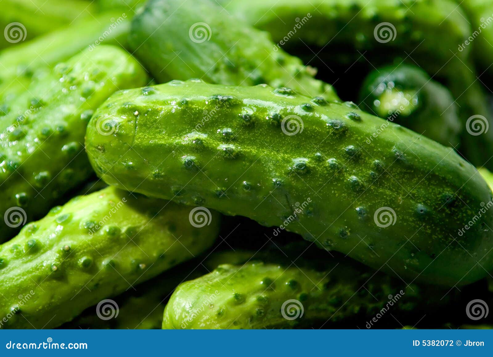 Pickles stock photo. Image of pickle, vegetable, cucumber - 5382072