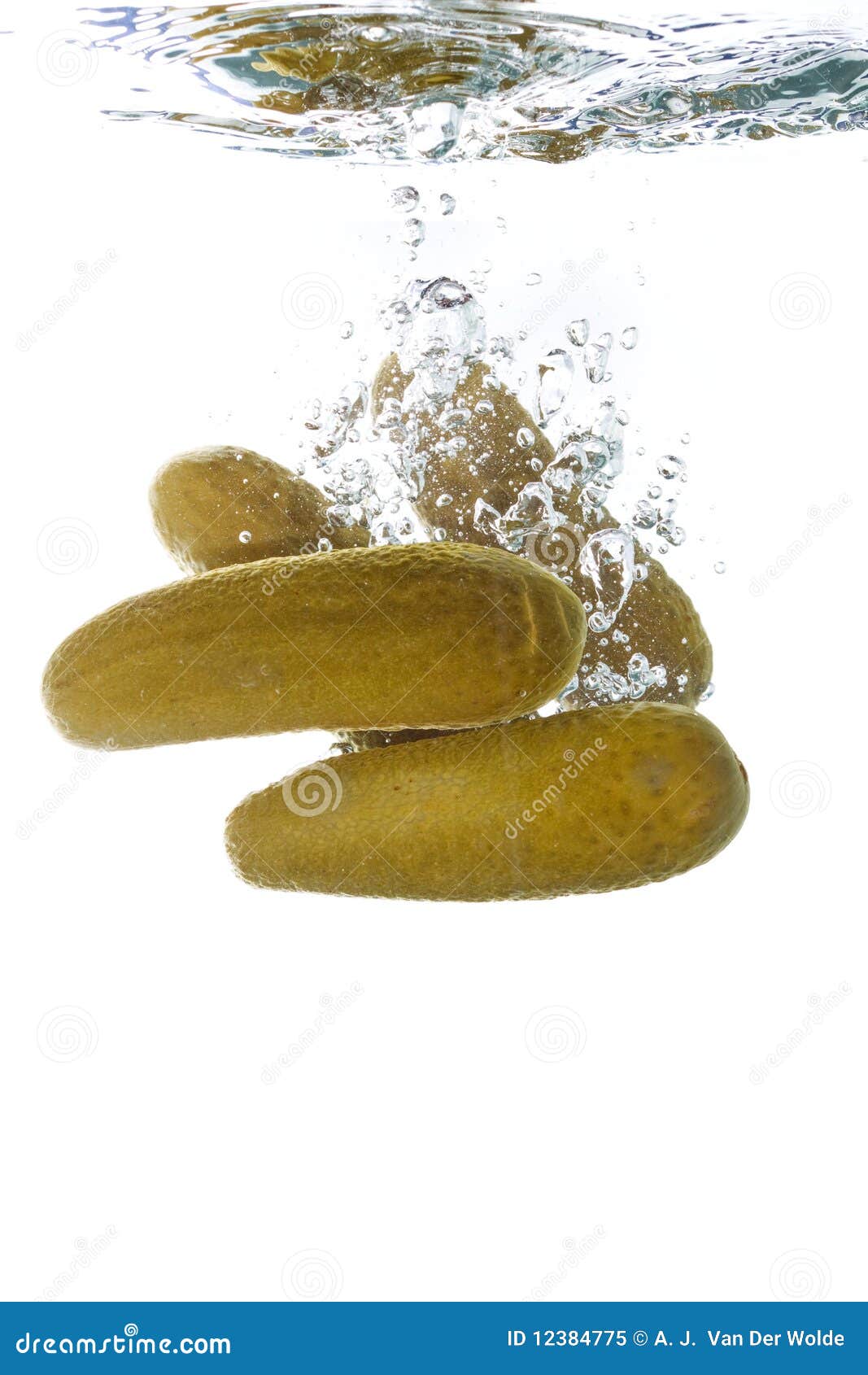 Pickles falling into water stock image. Image of pickle - 12384775