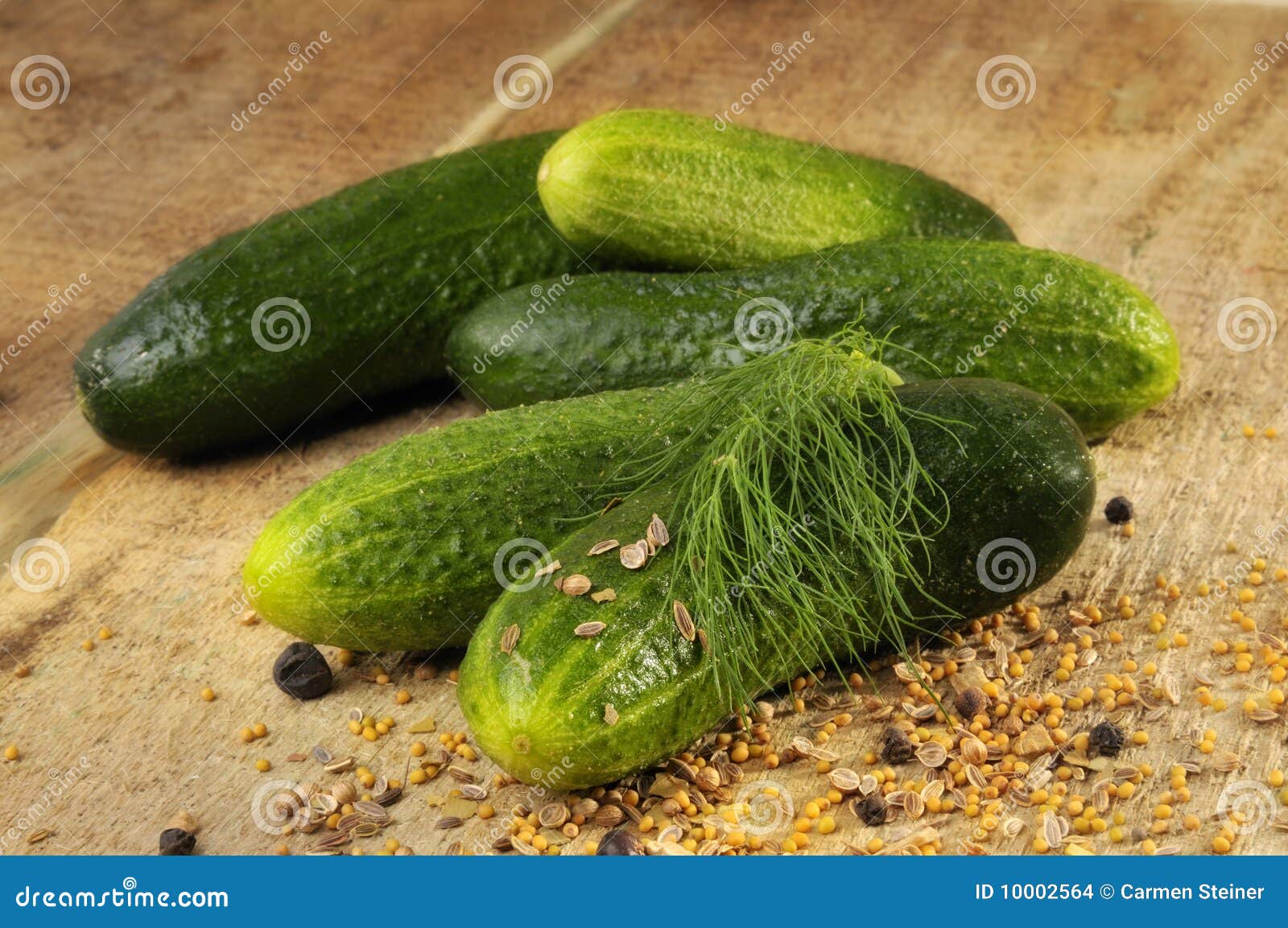 Pickling cucumbers stock photo. Image of fresh, wood - 10002564