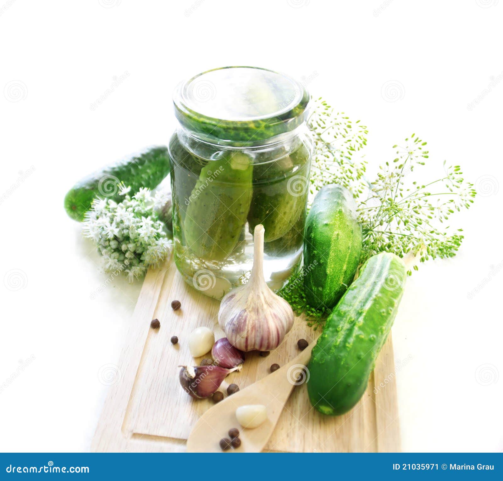 Pickling cucumbers stock image. Image of fennel, gourmet - 21035971