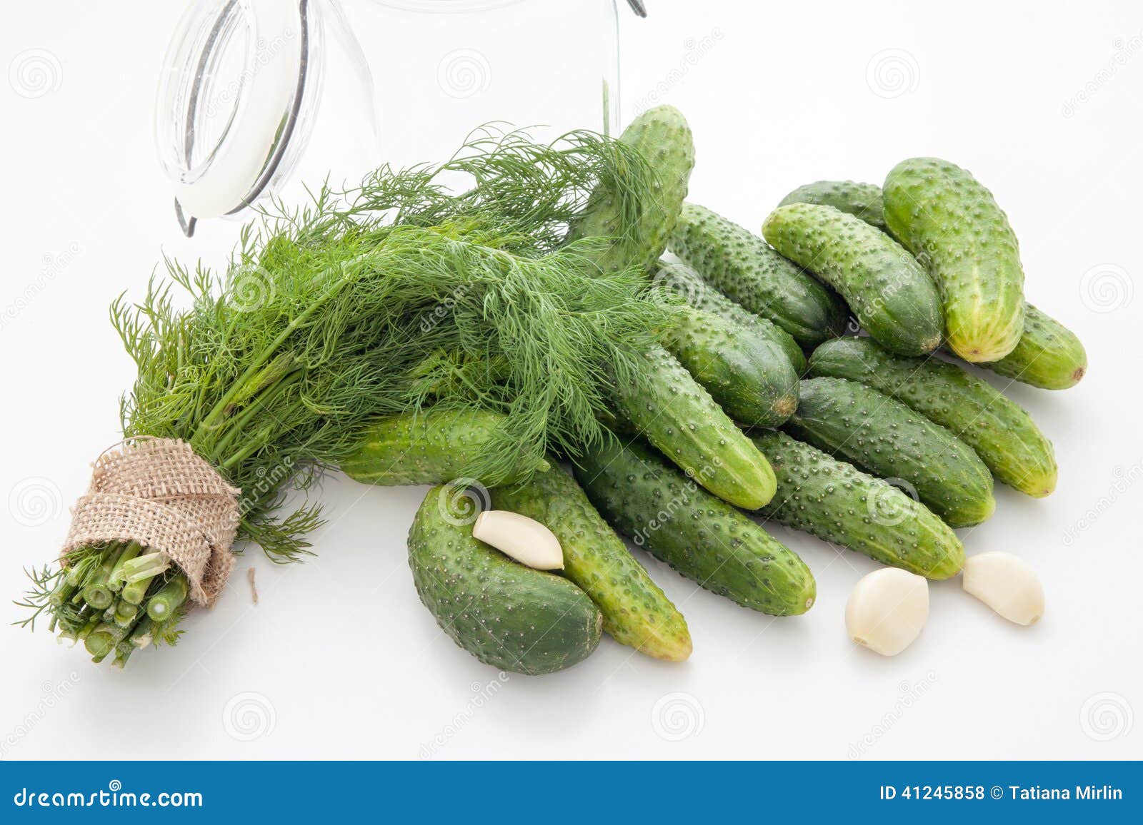 Pickling cucumbers stock photo. Image of length, freshness - 41245858