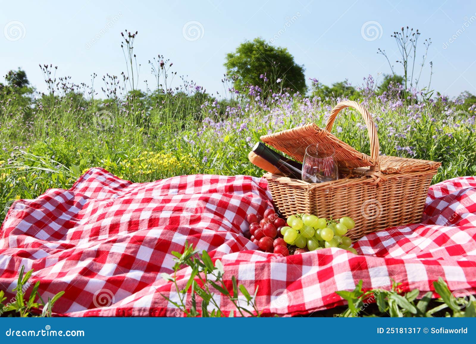 Picknick stock afbeelding. Afbeelding bestaande uit drank - 25181317