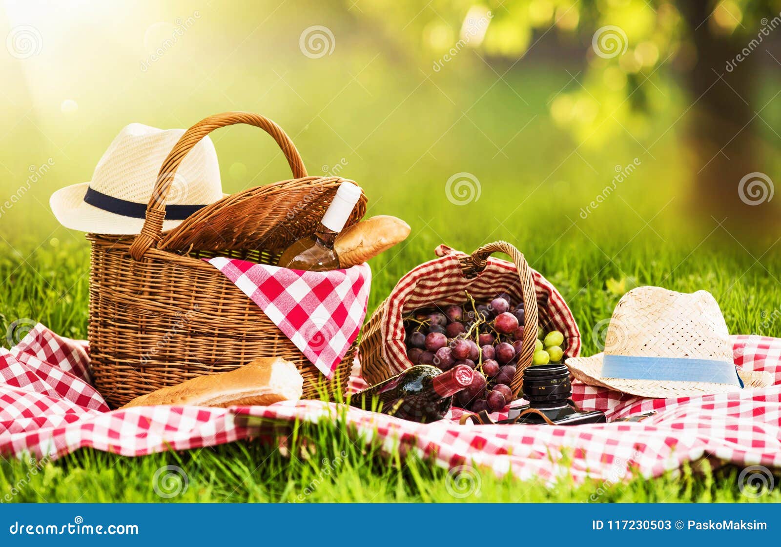 Picknick Op Een Zonnige Dag Stock Afbeelding - Image of mand, lunch ...