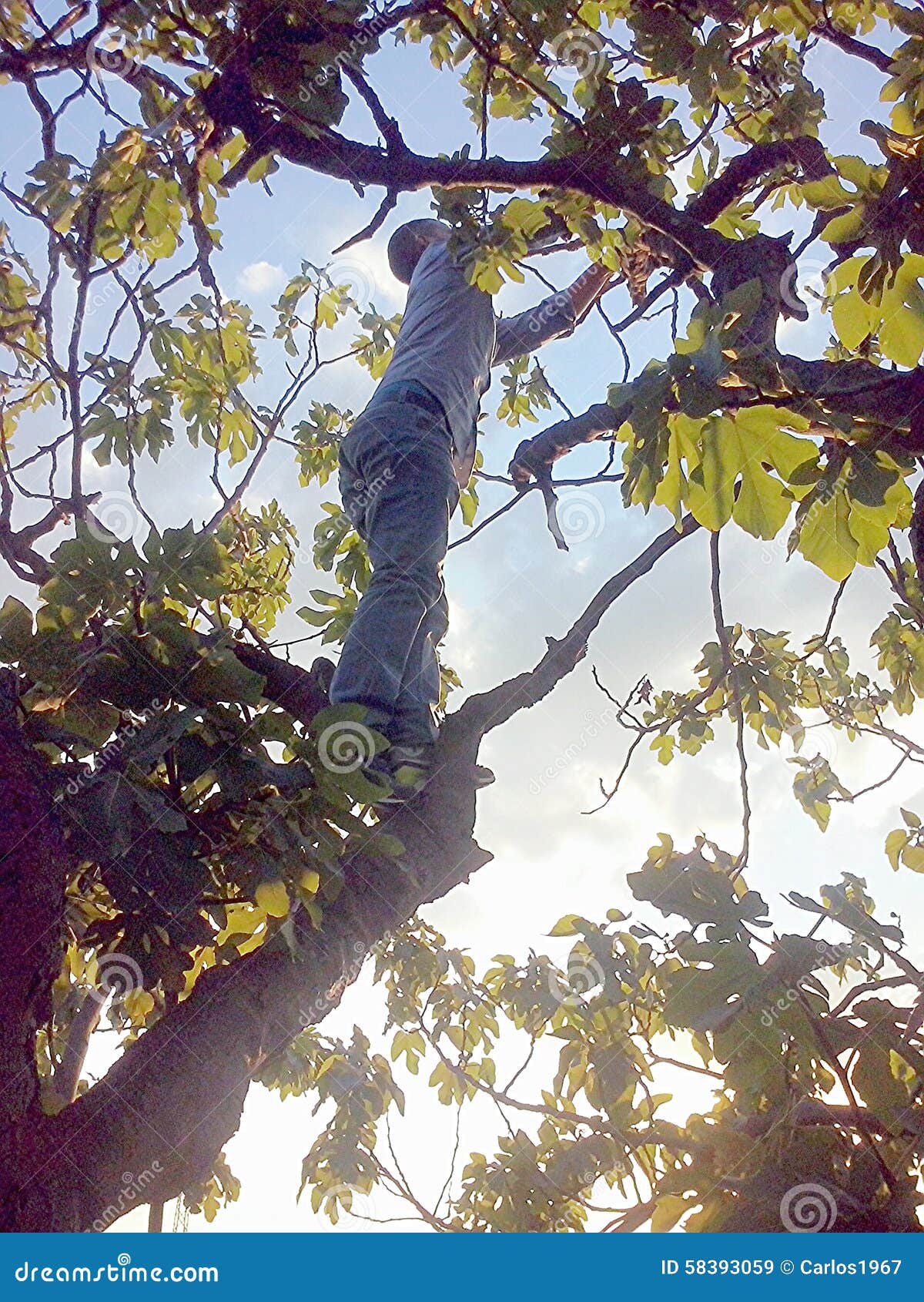 Pickup editorial stock image. Image of branches, nature - 58393059