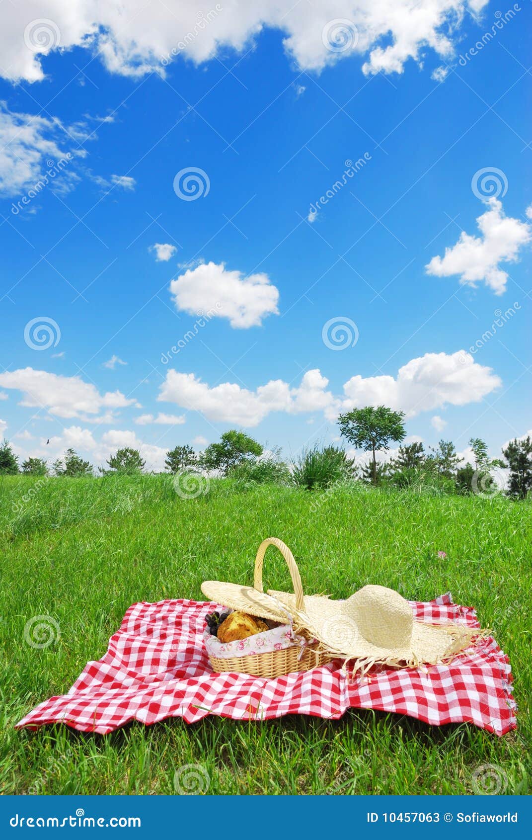 Picnic stock image. Image of outdoors, bright, picnic - 10457063