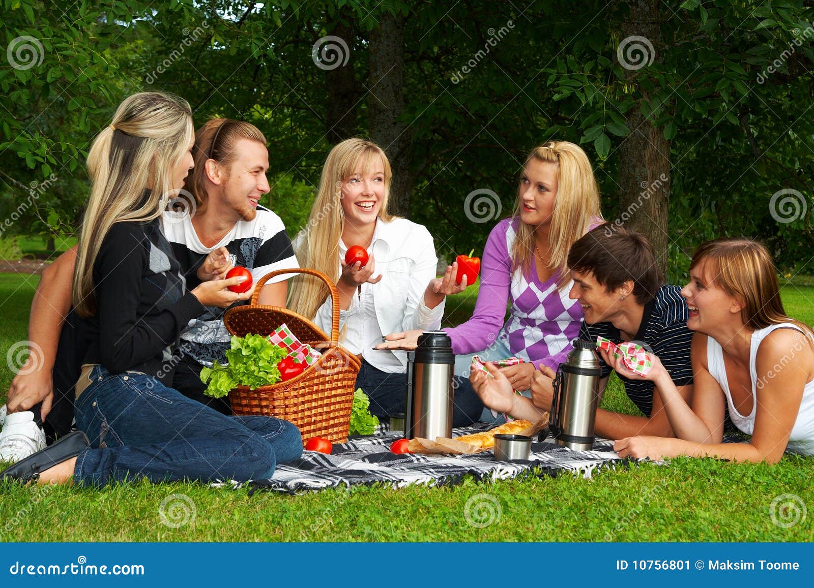 Picnic stock image. Image of fruit, happiness, outdoor - 10756801