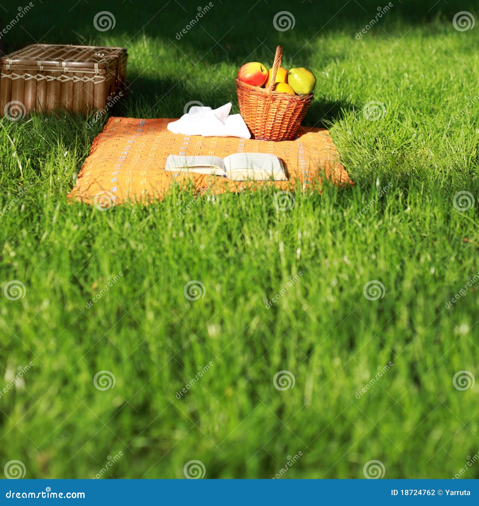 Picnic stock photo. Image of still, juicy, fruits, rest - 18724762