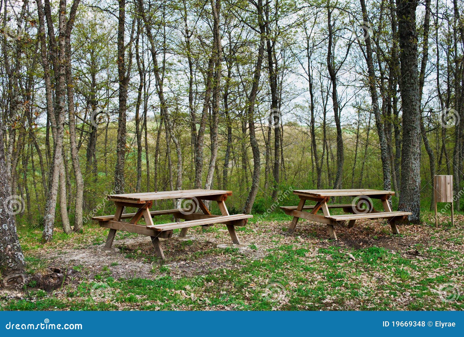 Picnic Area Sign Picnic Invitation Wood Vintage Stock Photo ...