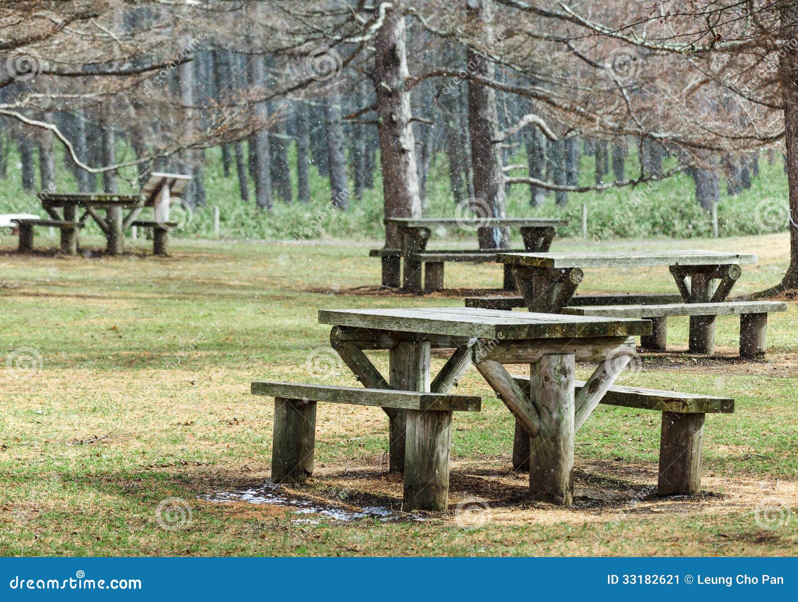 Picnic area in forest stock image. Image of table, scene - 33182621