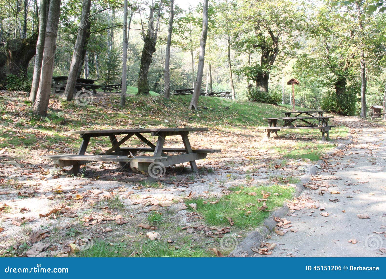 Picnic area of the forest stock photo. Image of relax - 45151206