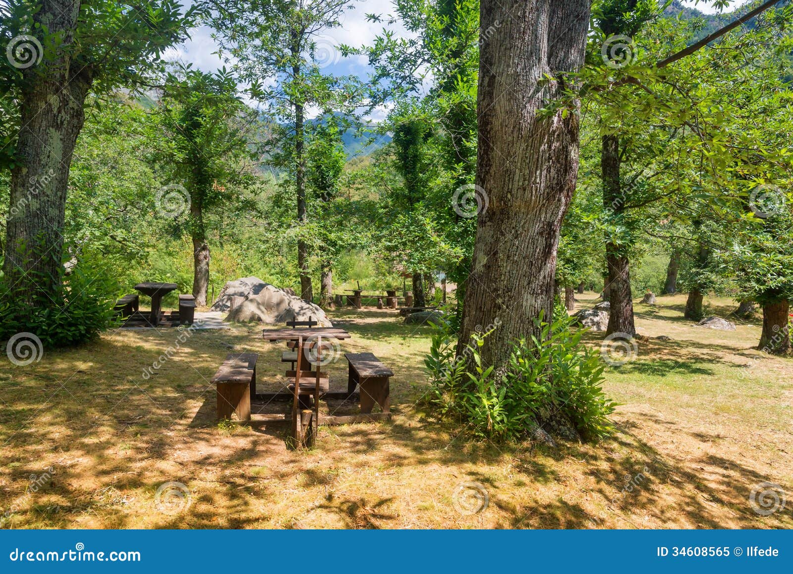 Picnic area in the forest stock image. Image of recreation - 34608565