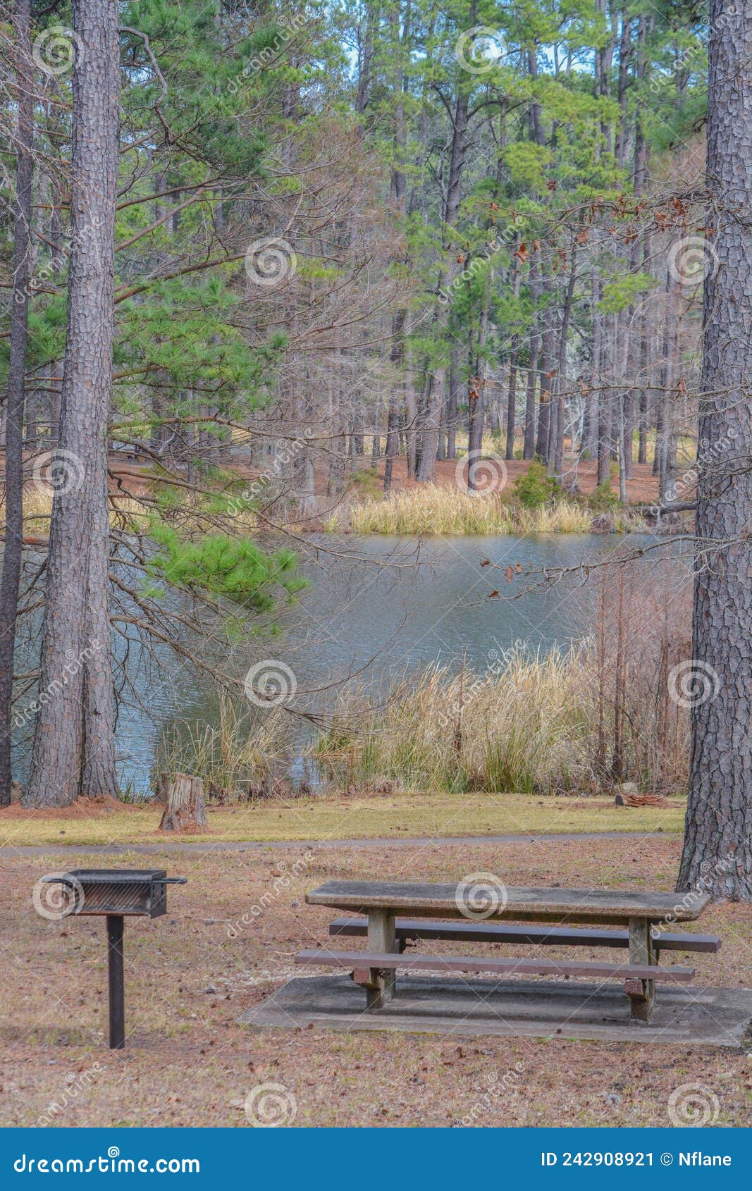 A Picnic Area at the Ratcliff Lake Recreation Area on Ratcliff Lake ...