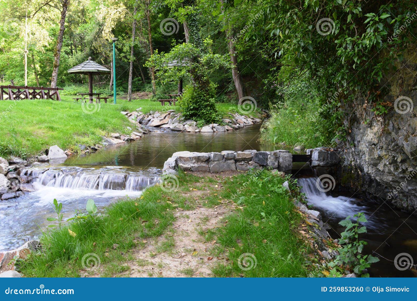 Picnic area by the river stock photo. Image of green - 259853260