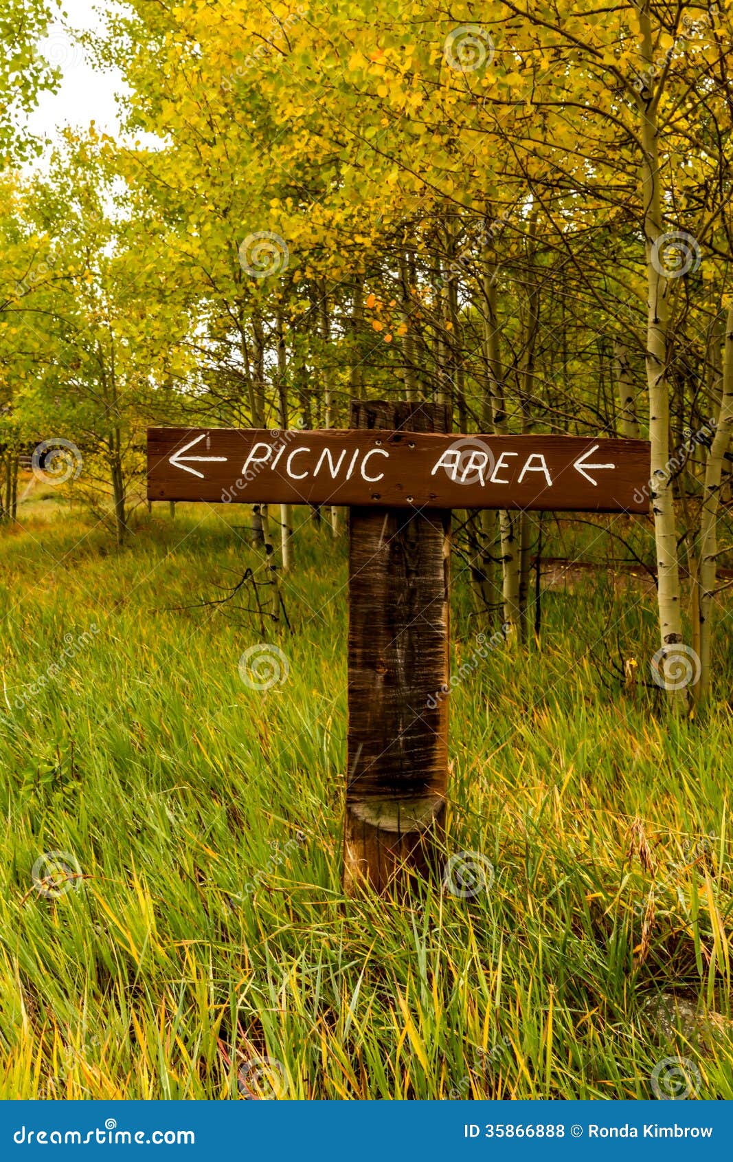 Picnic Area Sign in the Mountains Stock Photo - Image of yellow, tree ...