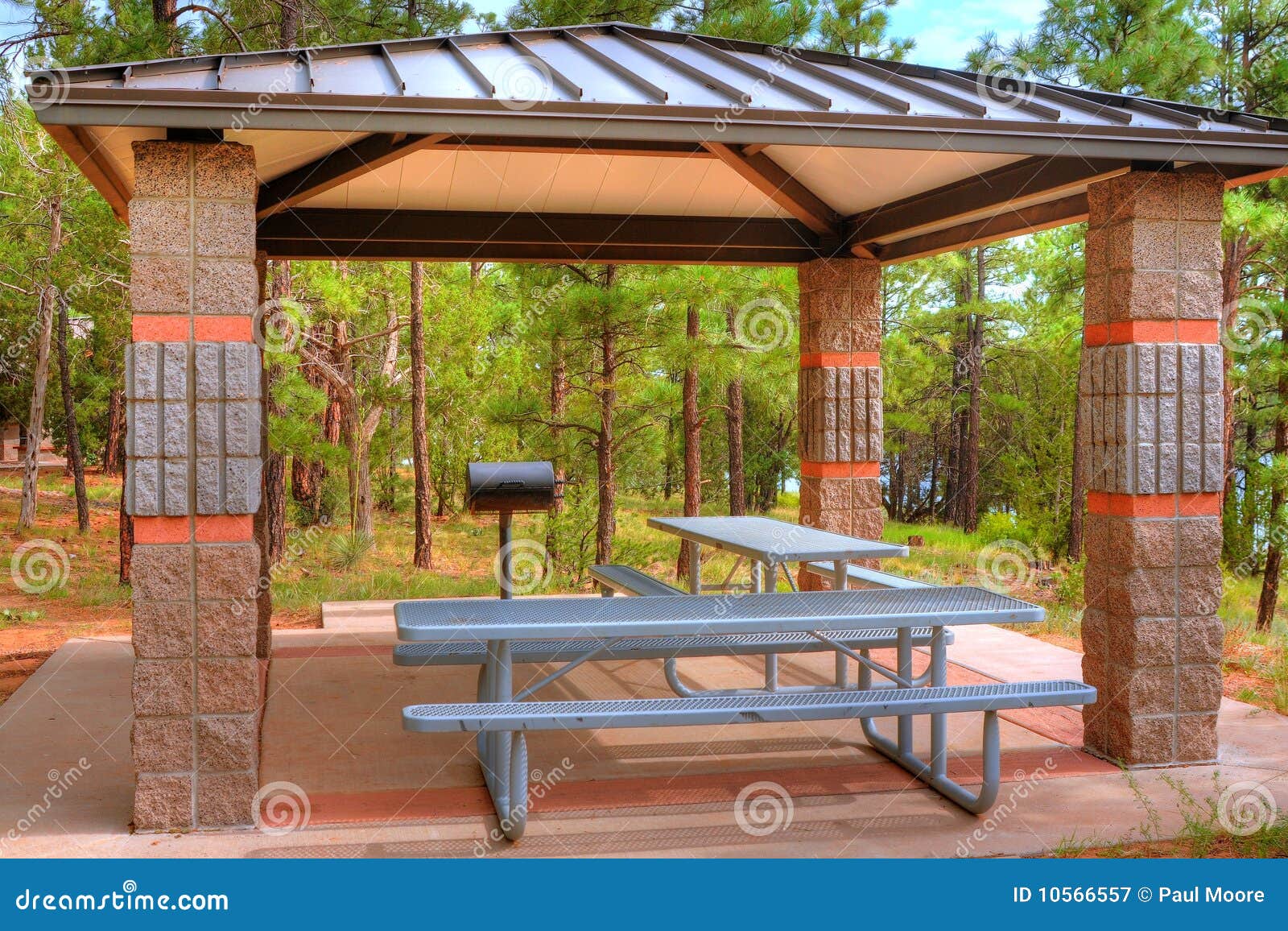 Picnic Area and Table stock image. Image of leaves, picnic - 10566557
