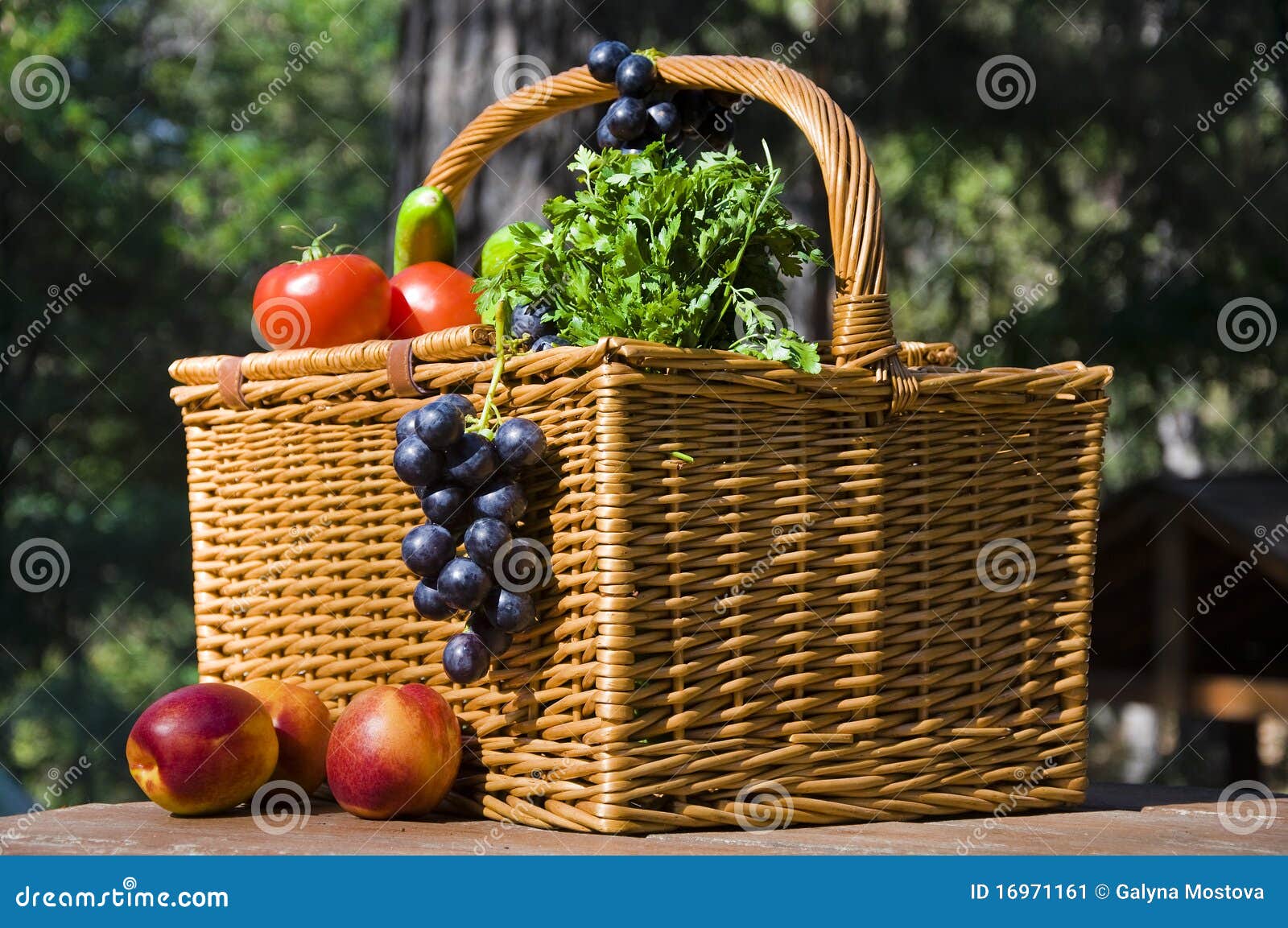 Picnic Basket with Autumn Fruits Stock Image - Image of mellow, closeup ...