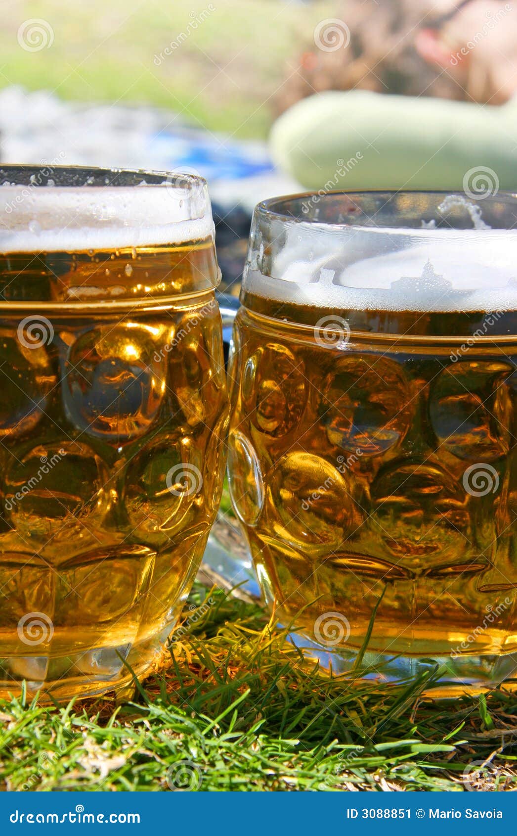 Picnic beers stock image. Image of alcohol, drink, beverage - 3088851