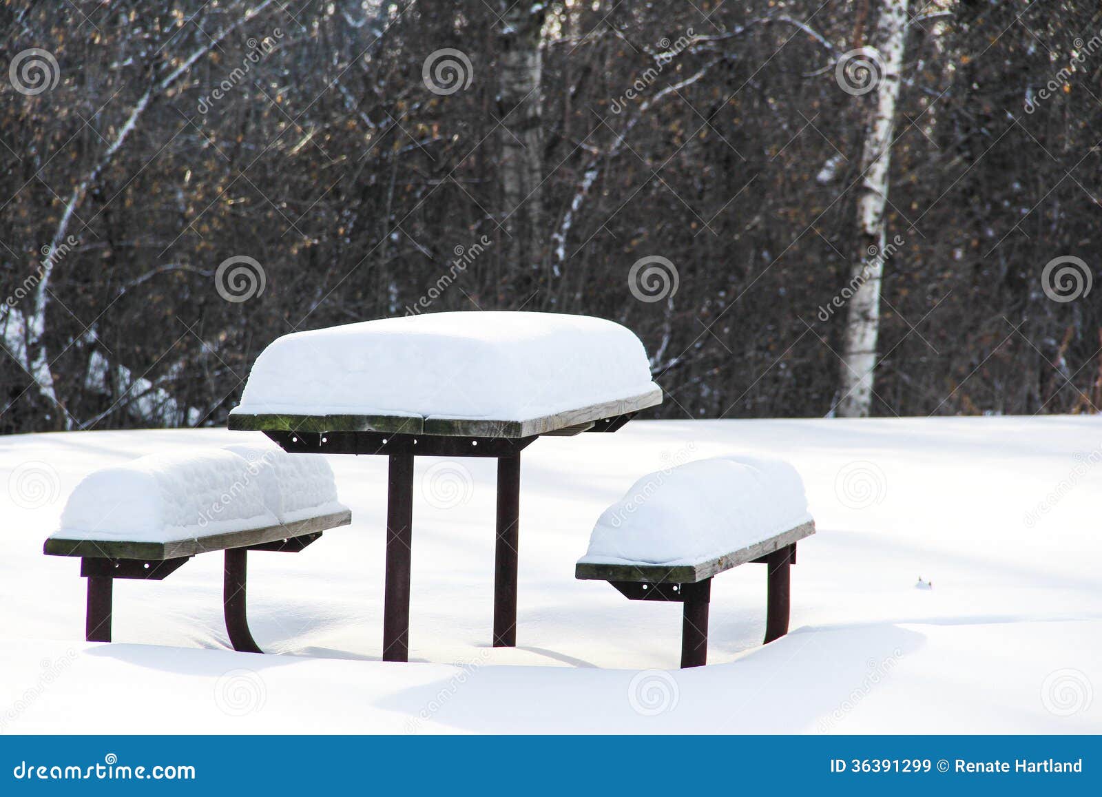Picnic bench in winter stock image. Image of bench, snow - 36391299