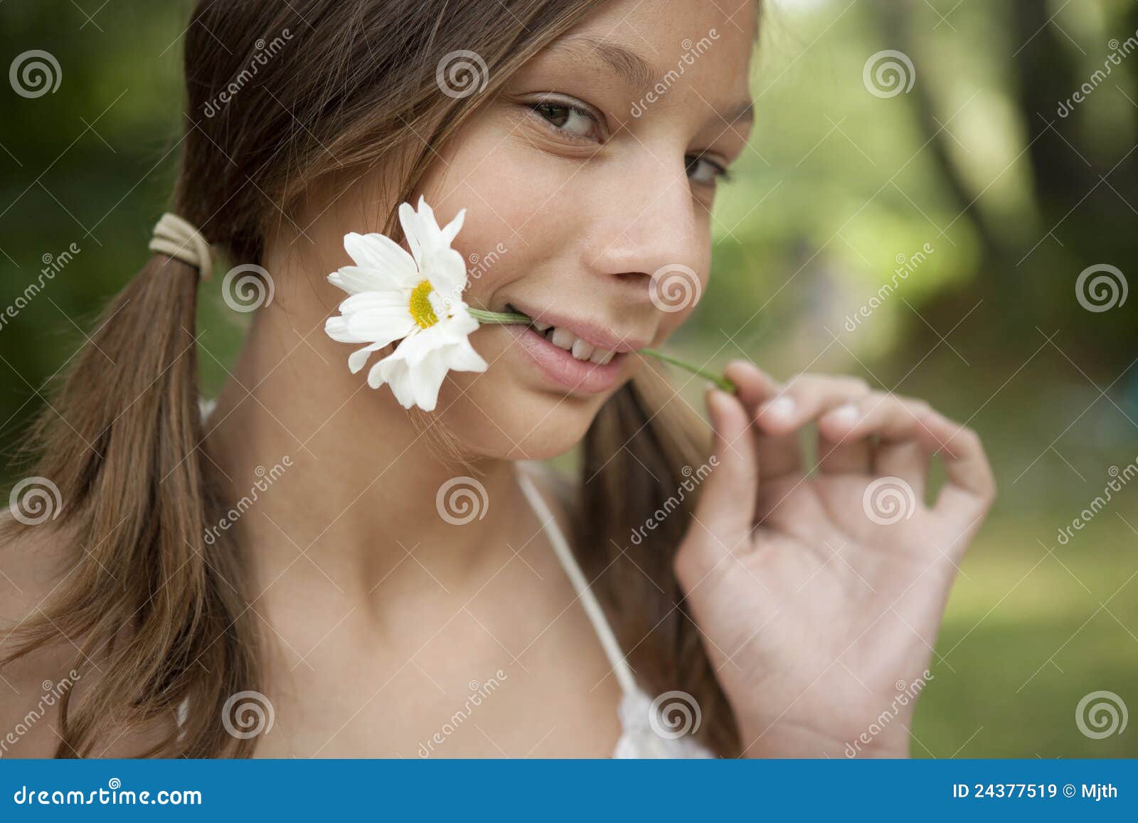 Picnic Biting Flower Stem stock image. Image of hair - 24377519