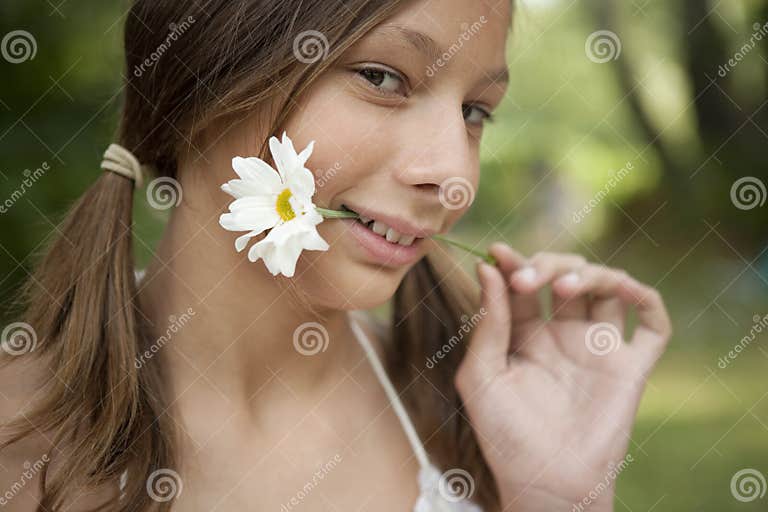 Picnic Biting Flower Stem stock image. Image of hair - 24377519