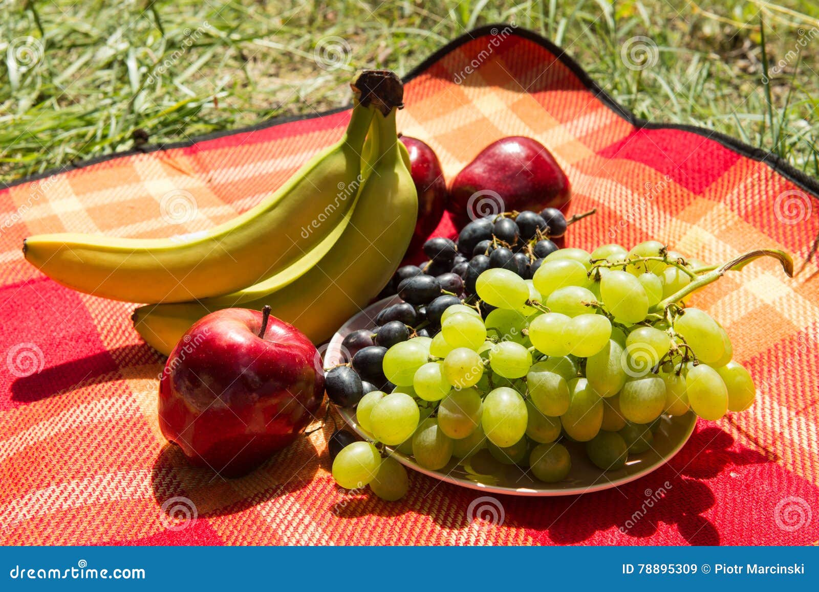 Picnic Concept - Fruits on Blanket Stock Image - Image of snack ...