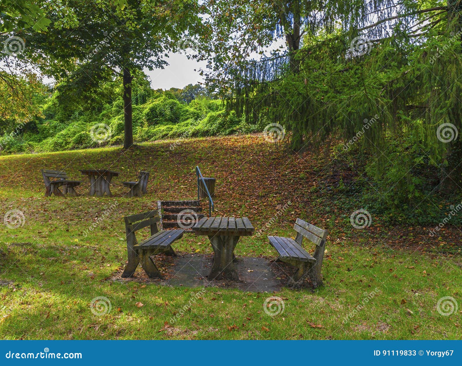Picnic corner stock image. Image of picnic, bench, forest - 91119833