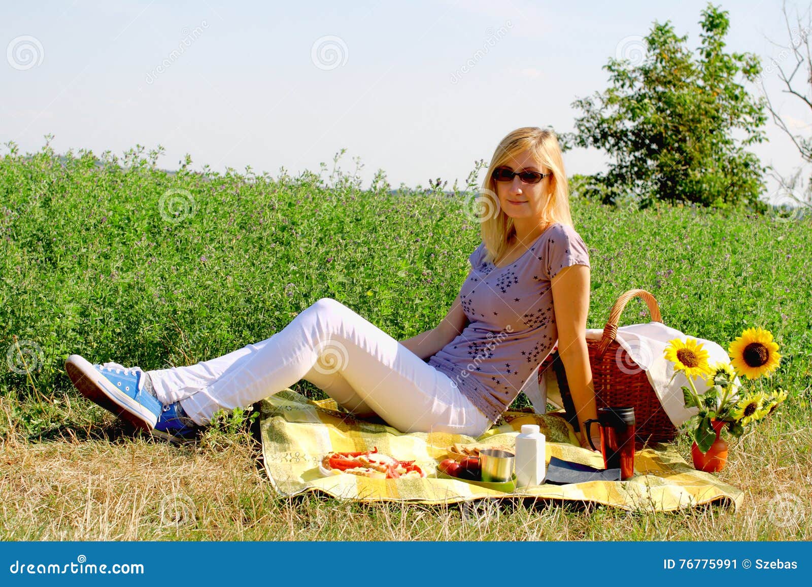 Picnic on the Countryside stock image. Image of wicker - 76775991