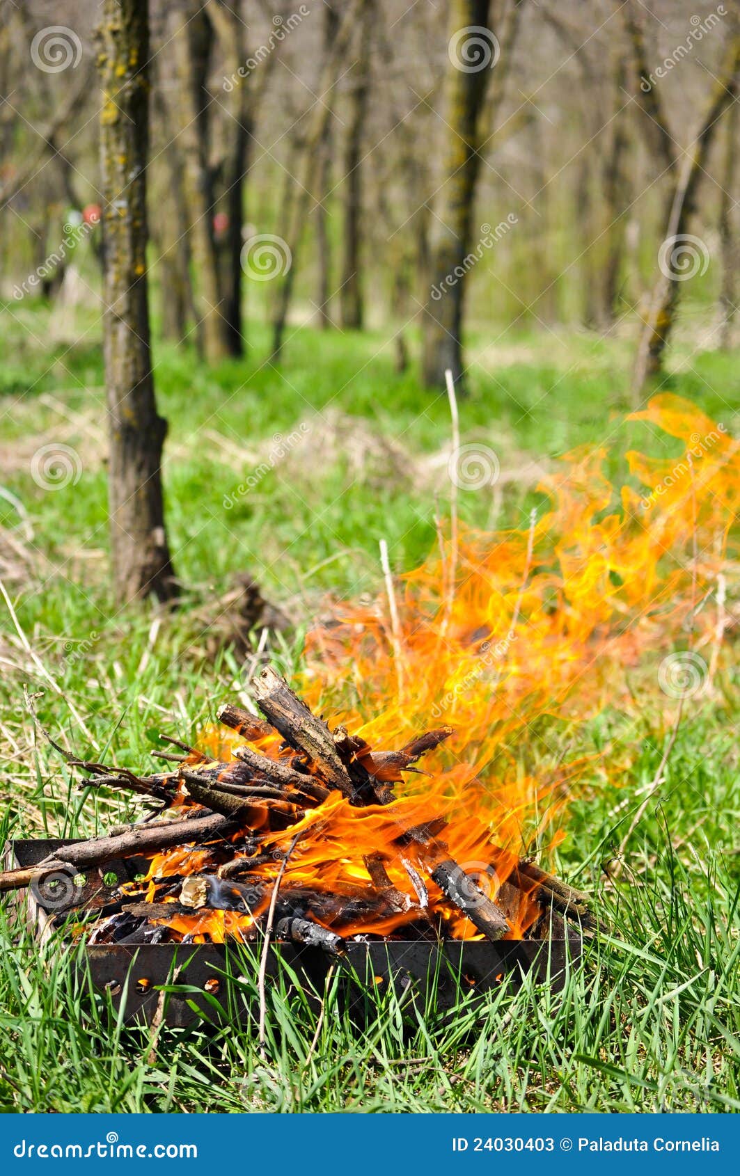 Picnic fire on the grill stock image. Image of burnt - 24030403