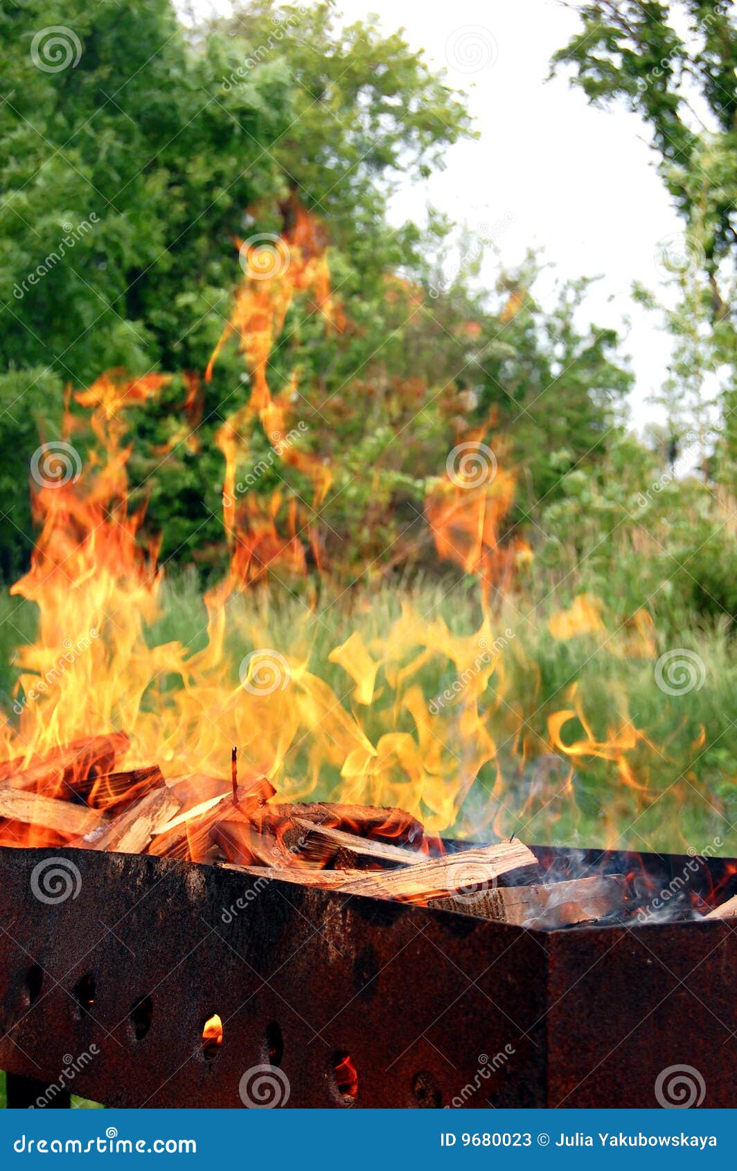 Picnic fire on the grill stock image. Image of fries, dust - 9680023