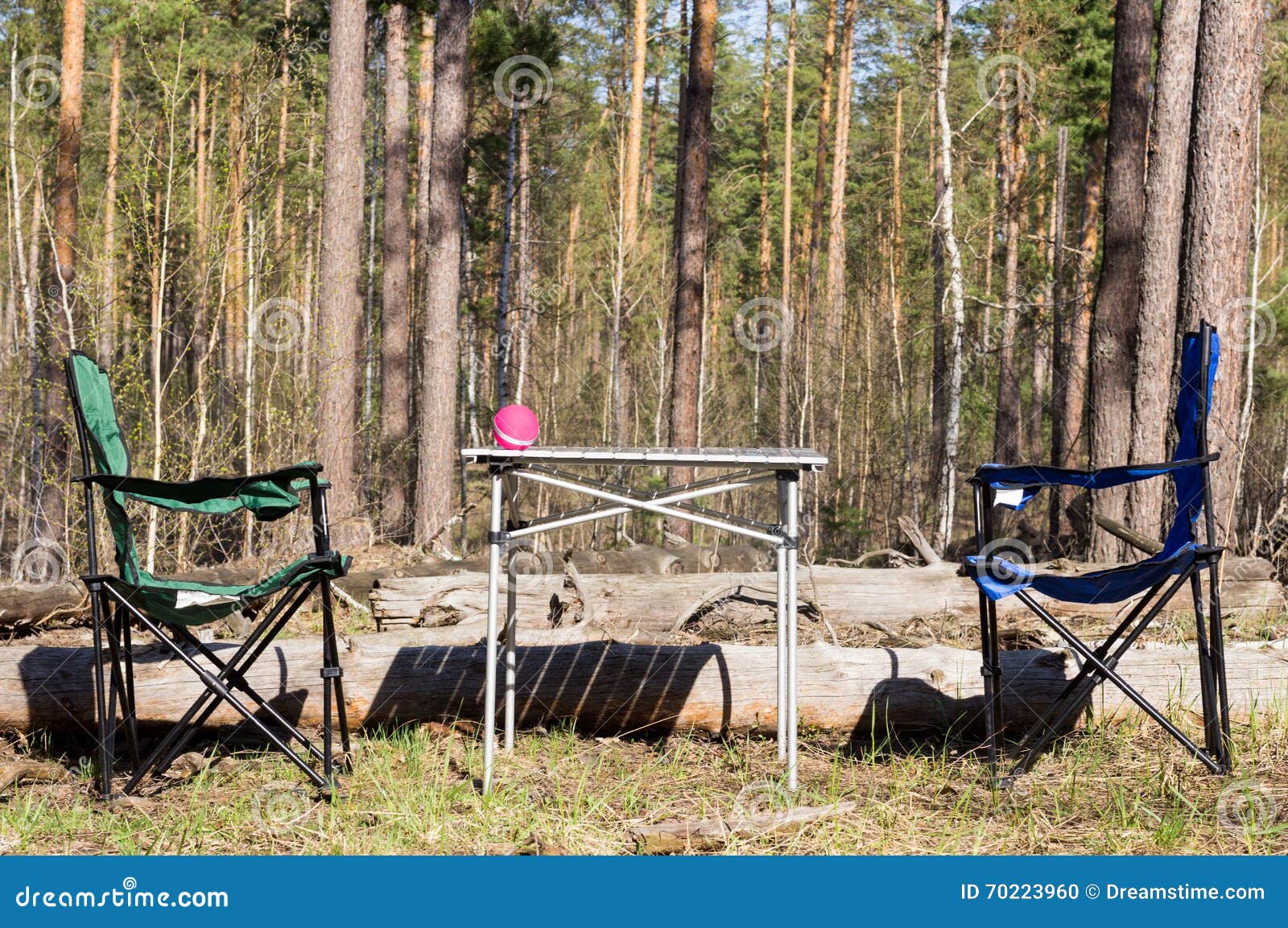 Picnic in the forest stock photo. Image of spring, landscape - 70223960