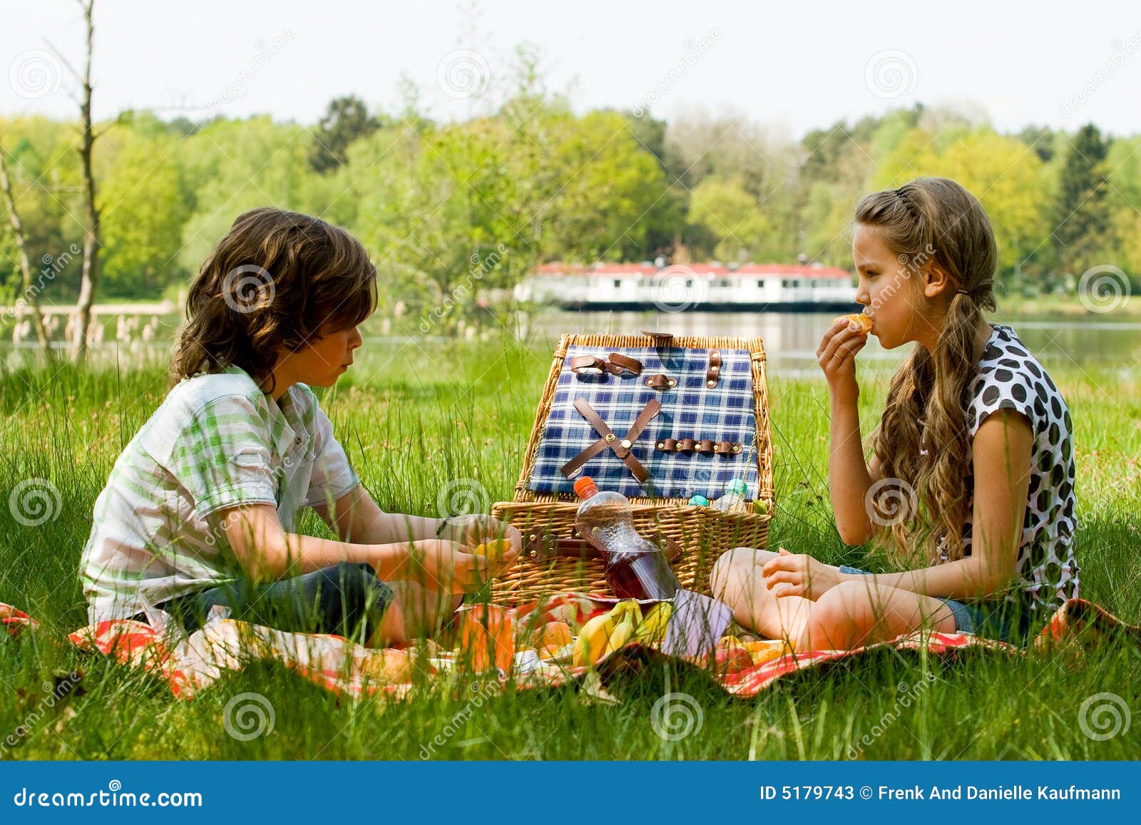 Picnic fun stock image. Image of meal, romance, park, child - 5179743
