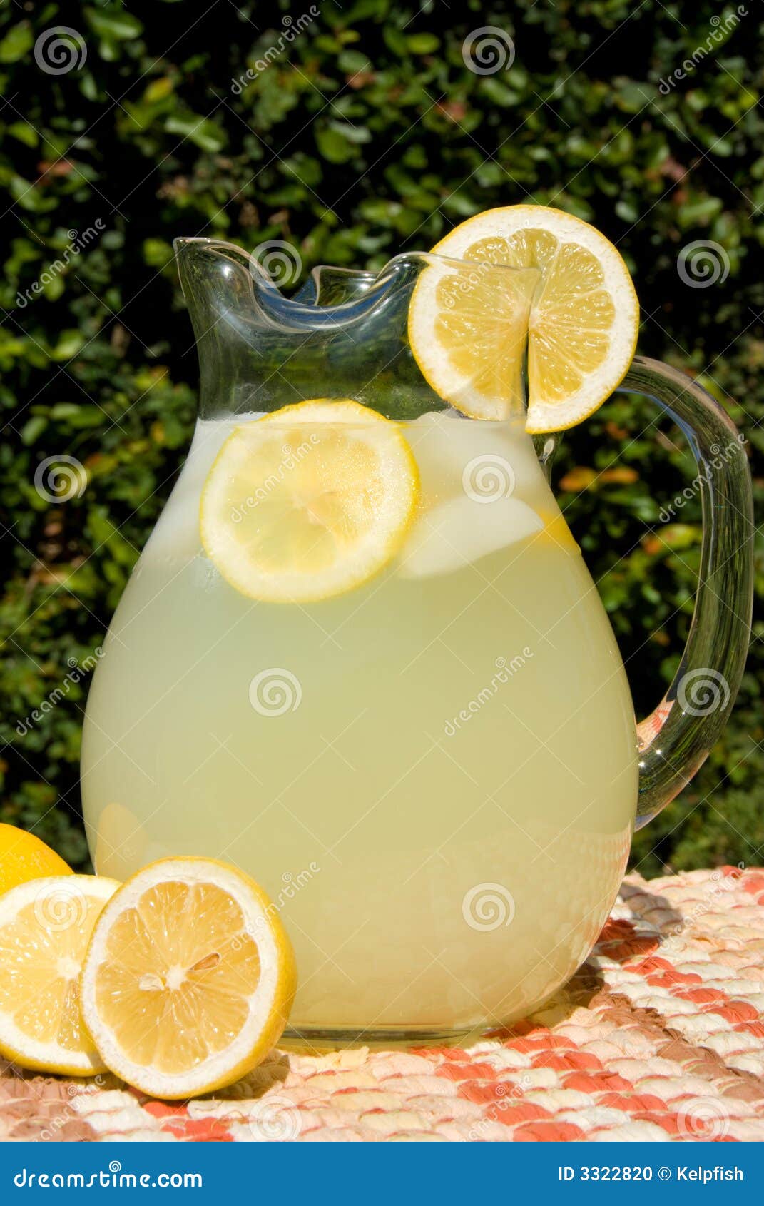 Picnic lemonade stock photo. Image of lime, family, juice - 3322820