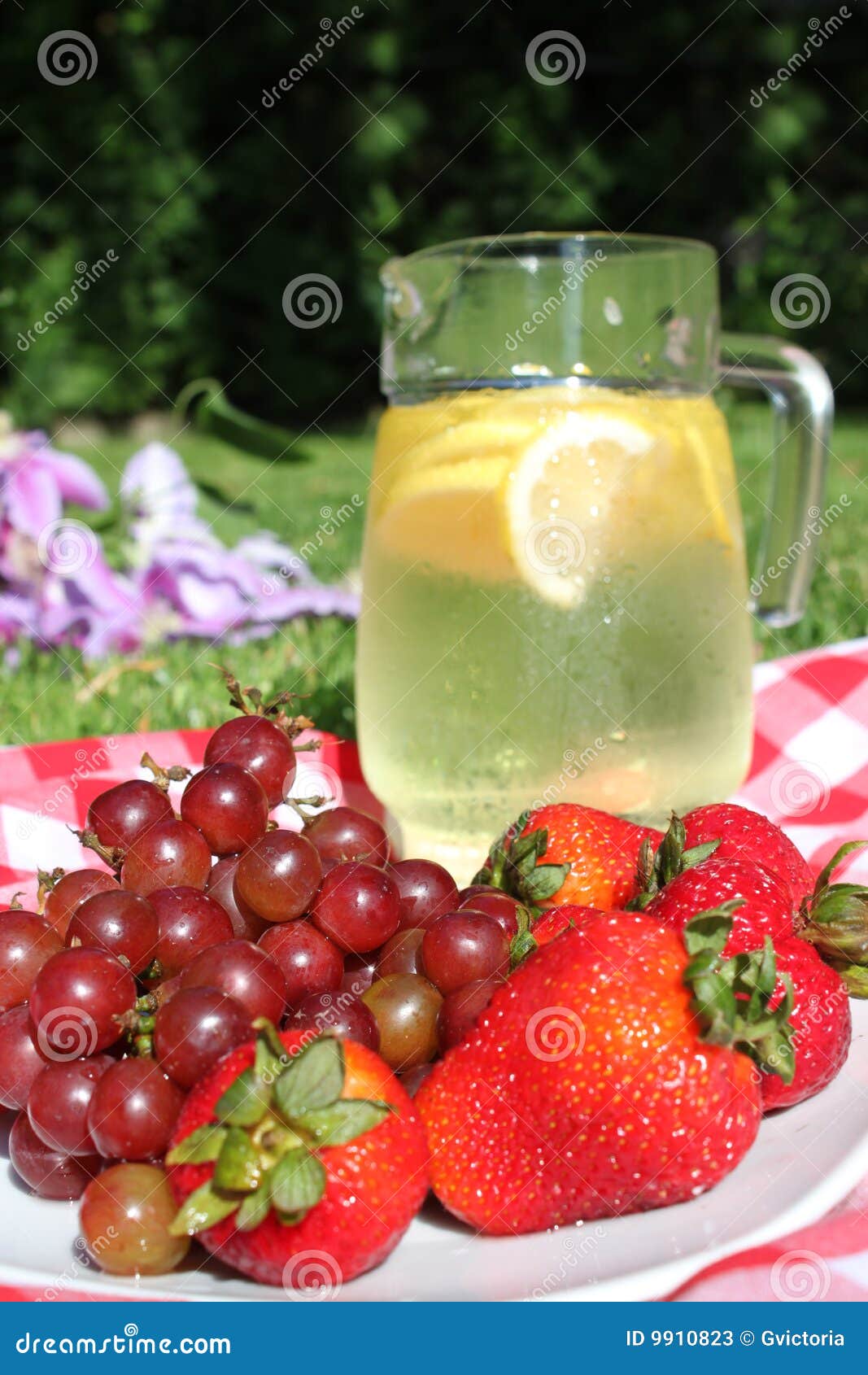 Picnic lemonade stock image. Image of summertime, yard - 9910823