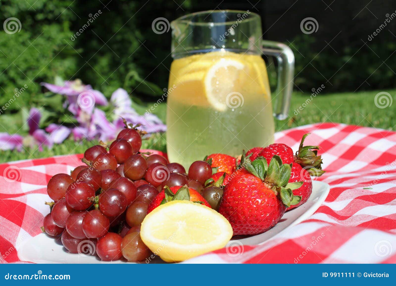 Picnic lemonade stock image. Image of glass, trees, pitcher - 9911111