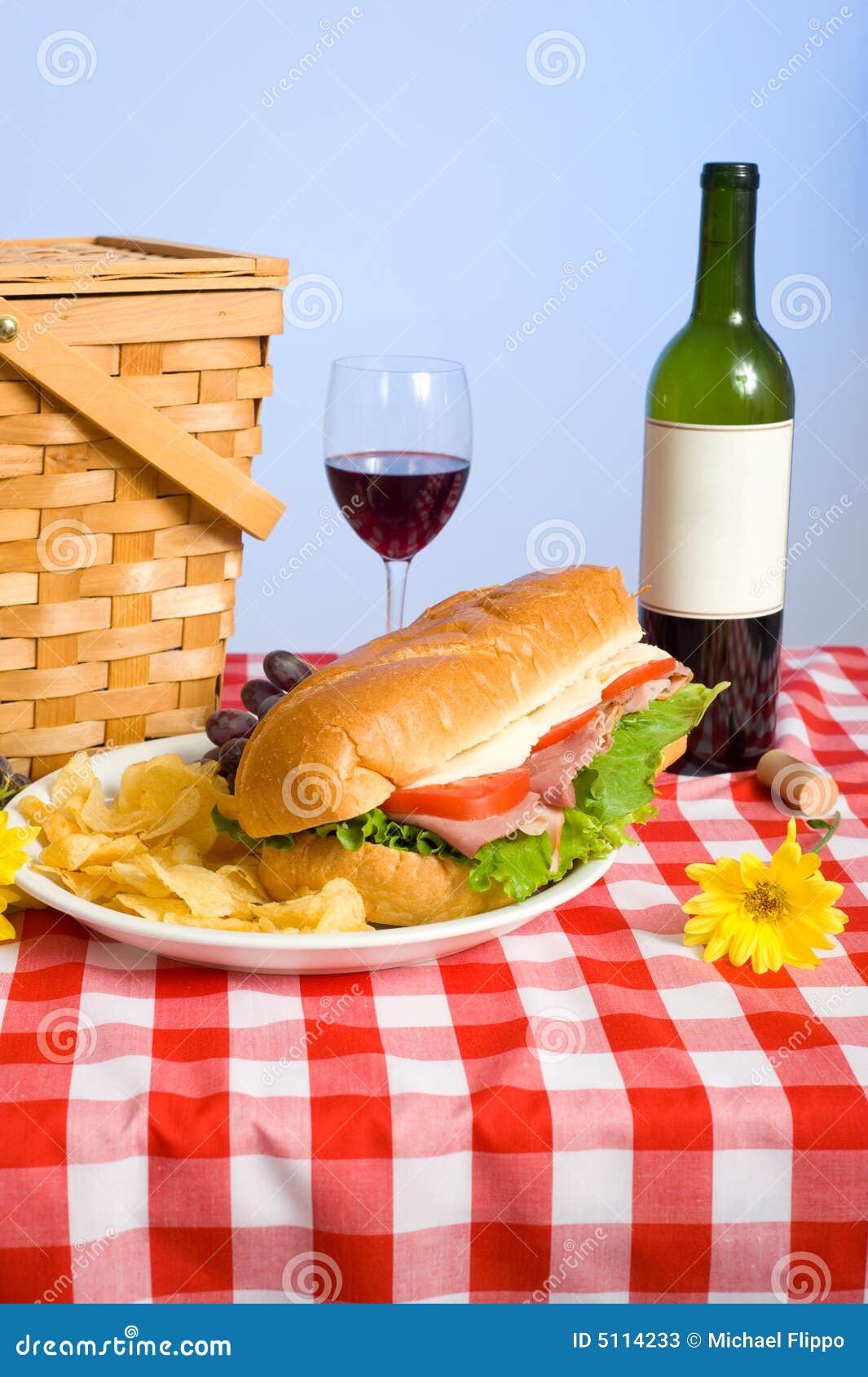 Picnic Lunch stock image. Image of blue, wicker, copy - 5114233