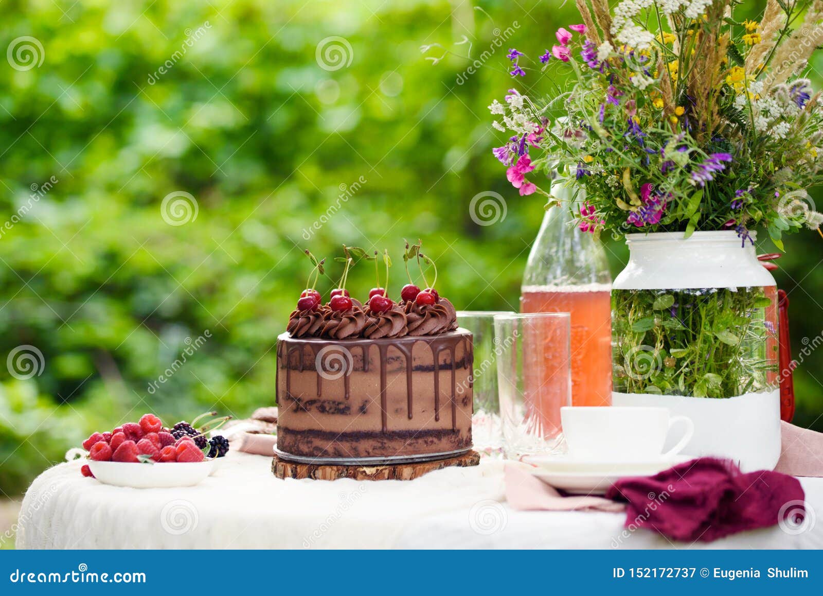 Picnic on Nature with a Delicious Cake and Refreshments Stock Image ...