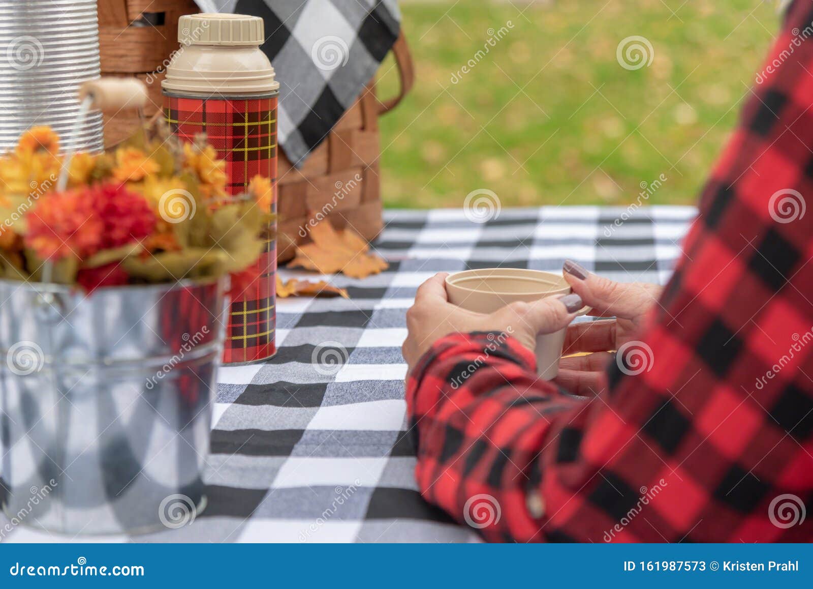 Picnic at the Park in Autumn Stock Image - Image of decor, outdoor ...