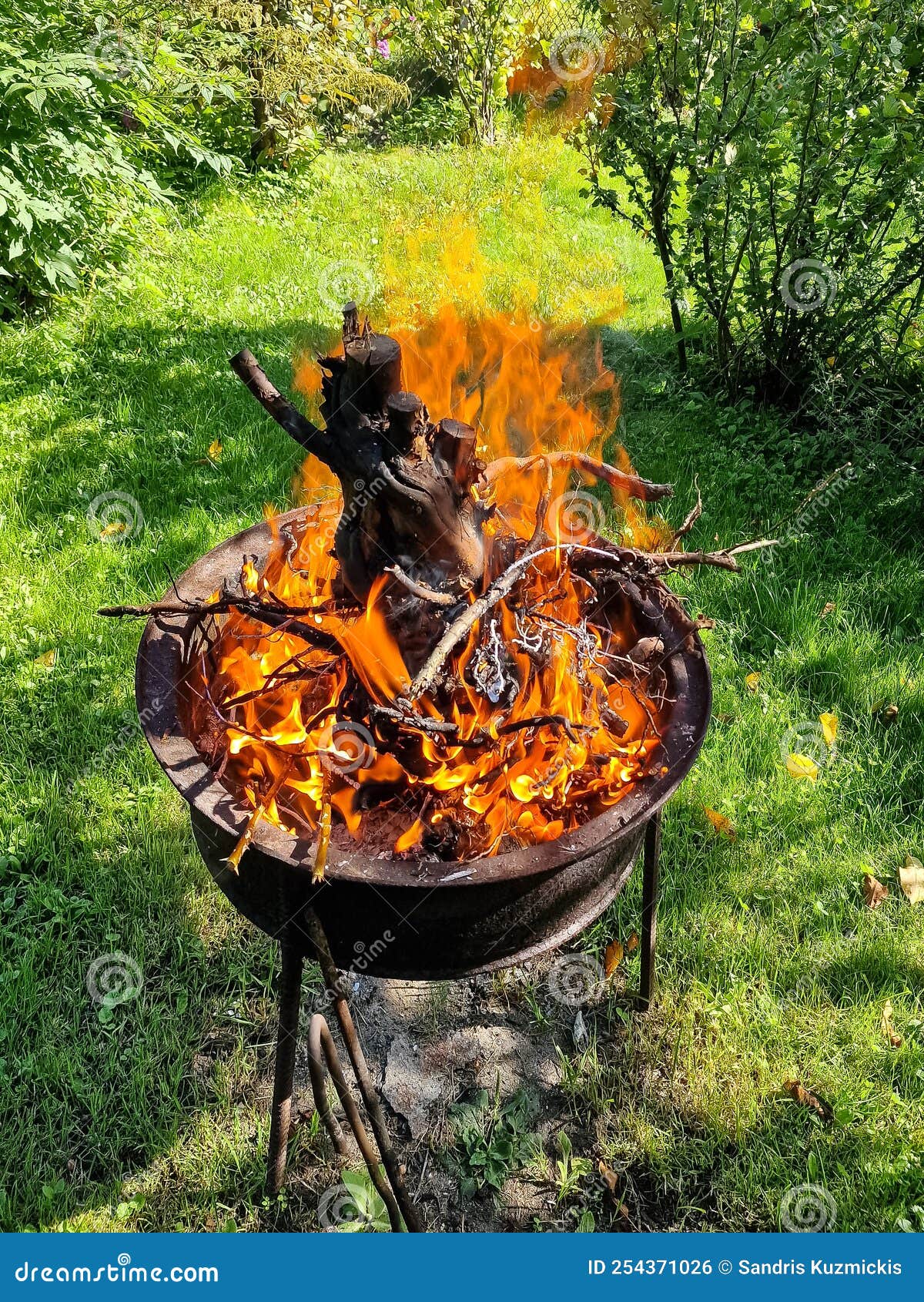 Picnic Place with a Campfire Stock Photo - Image of latvia, barbeque ...