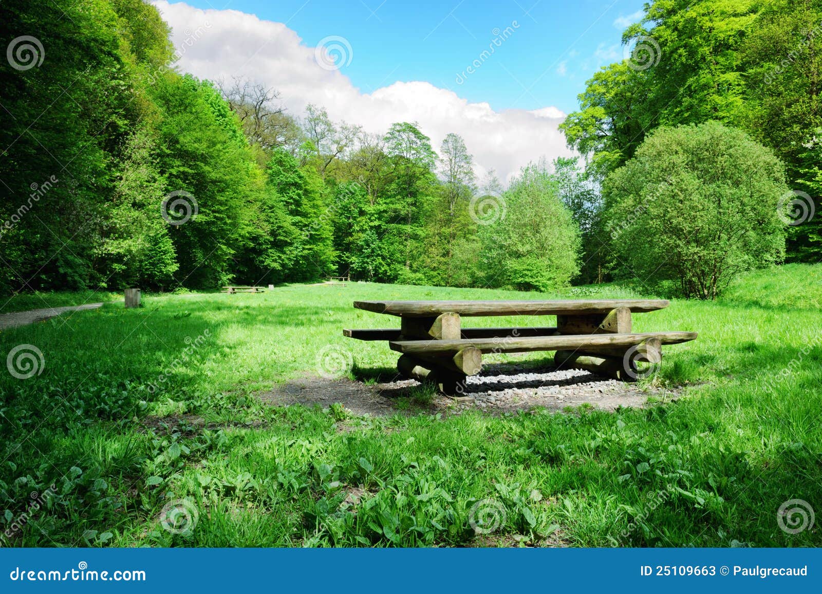 Picnic Place in Forest Opening Stock Image - Image of plant, nature ...