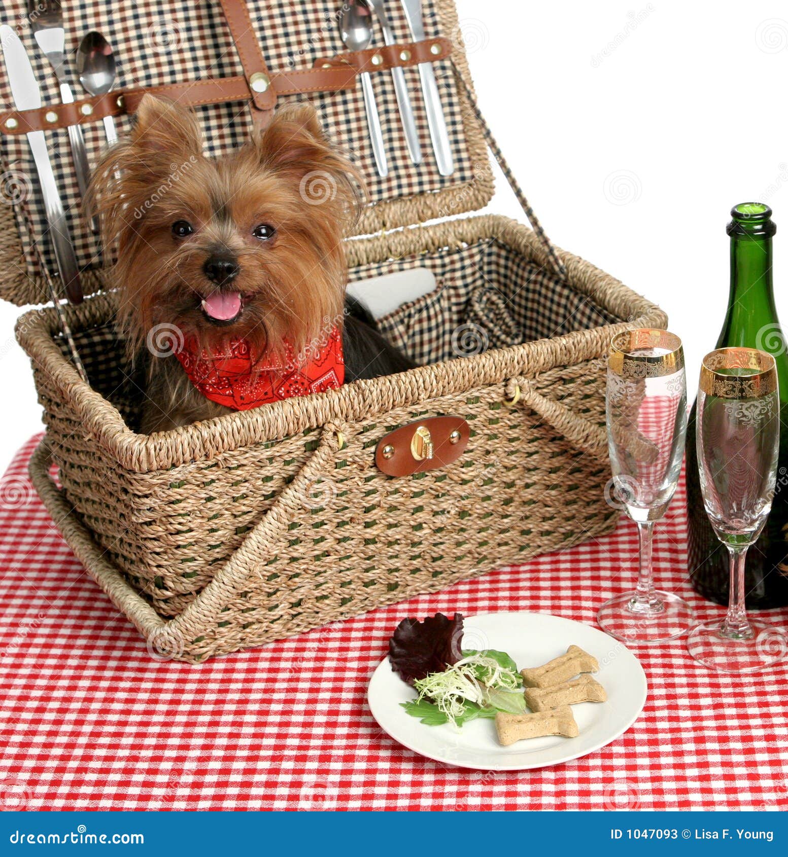Picnic Puppies stock image. Image of dine, food, place - 1047093