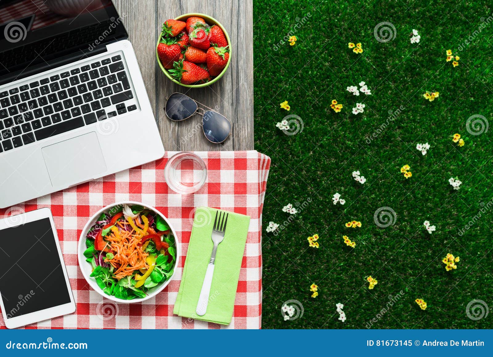 Picnic setting with laptop stock image. Image of leisure - 81673145