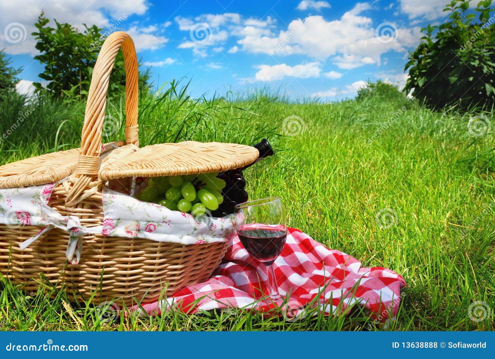 Picnic setting with wine stock photo. Image of outdoor - 13638888