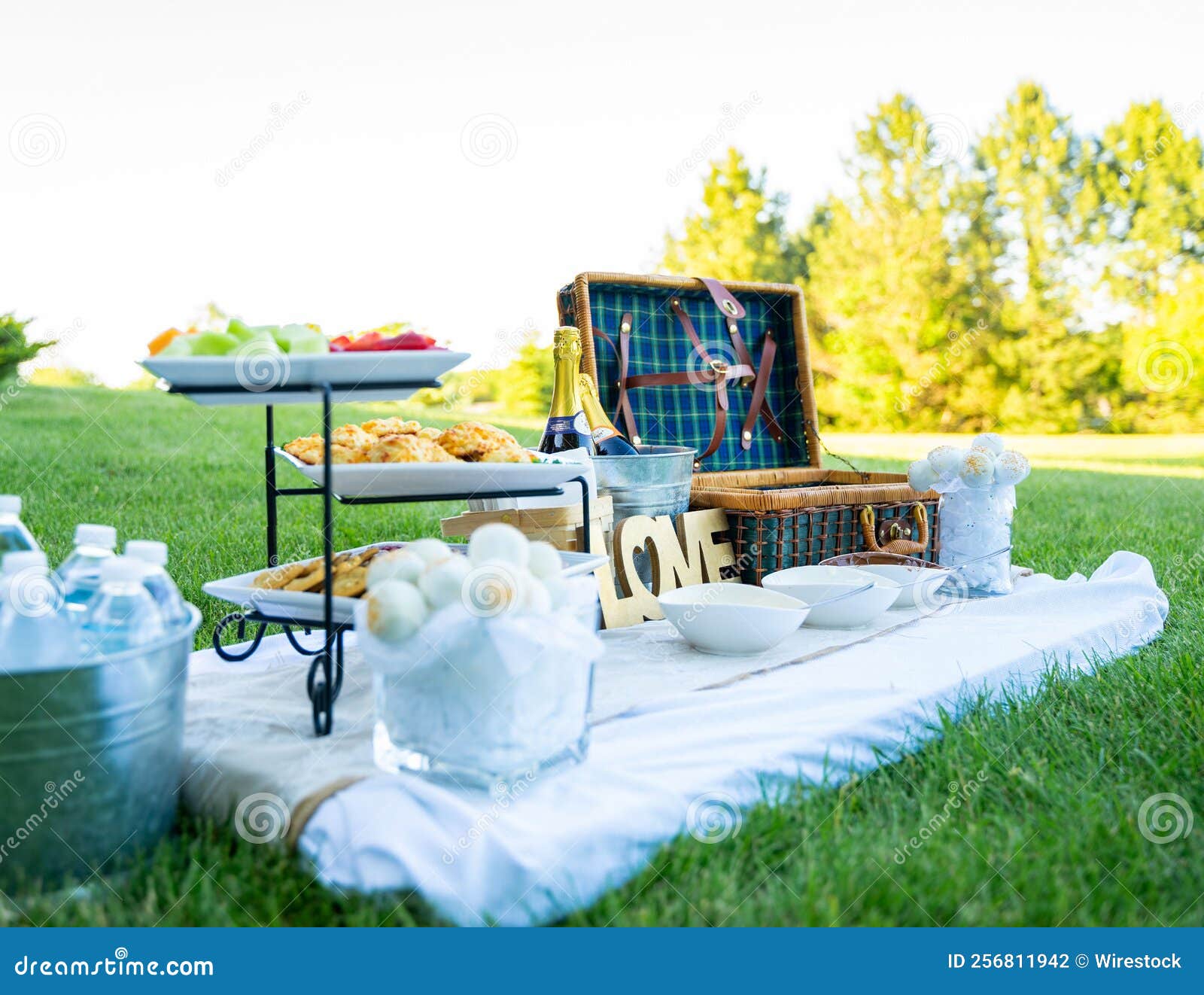 Picnic Setup For Special Event Celebration On Meadow With A Decoative ...