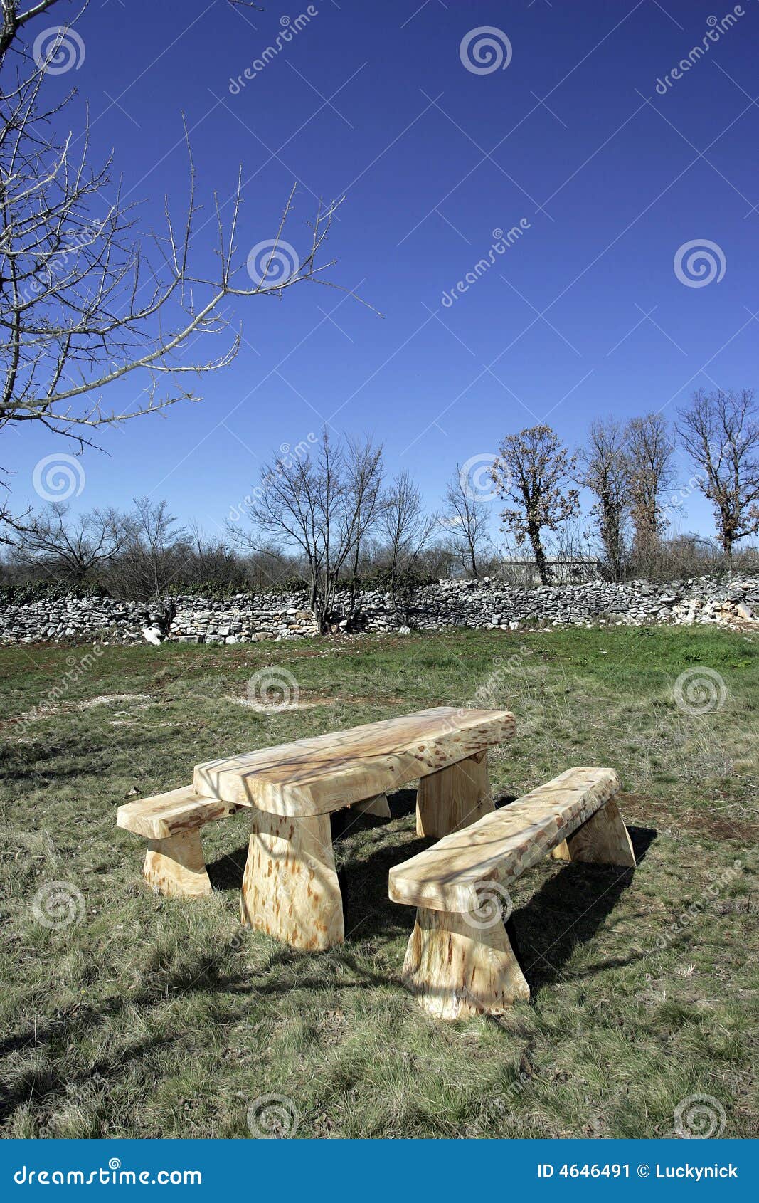 Picnic stone table stock image. Image of meadow, peace - 4646491