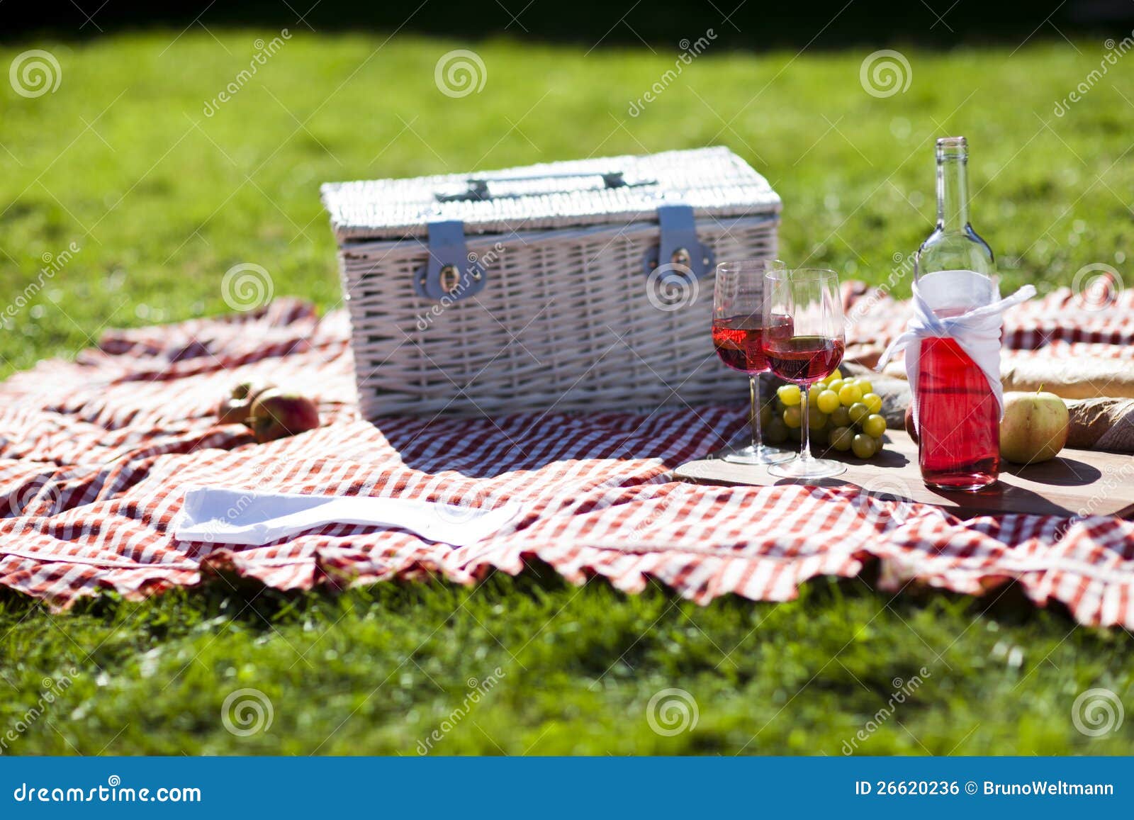 Picnic and sun! stock photo. Image of bottle, landscape - 26620236