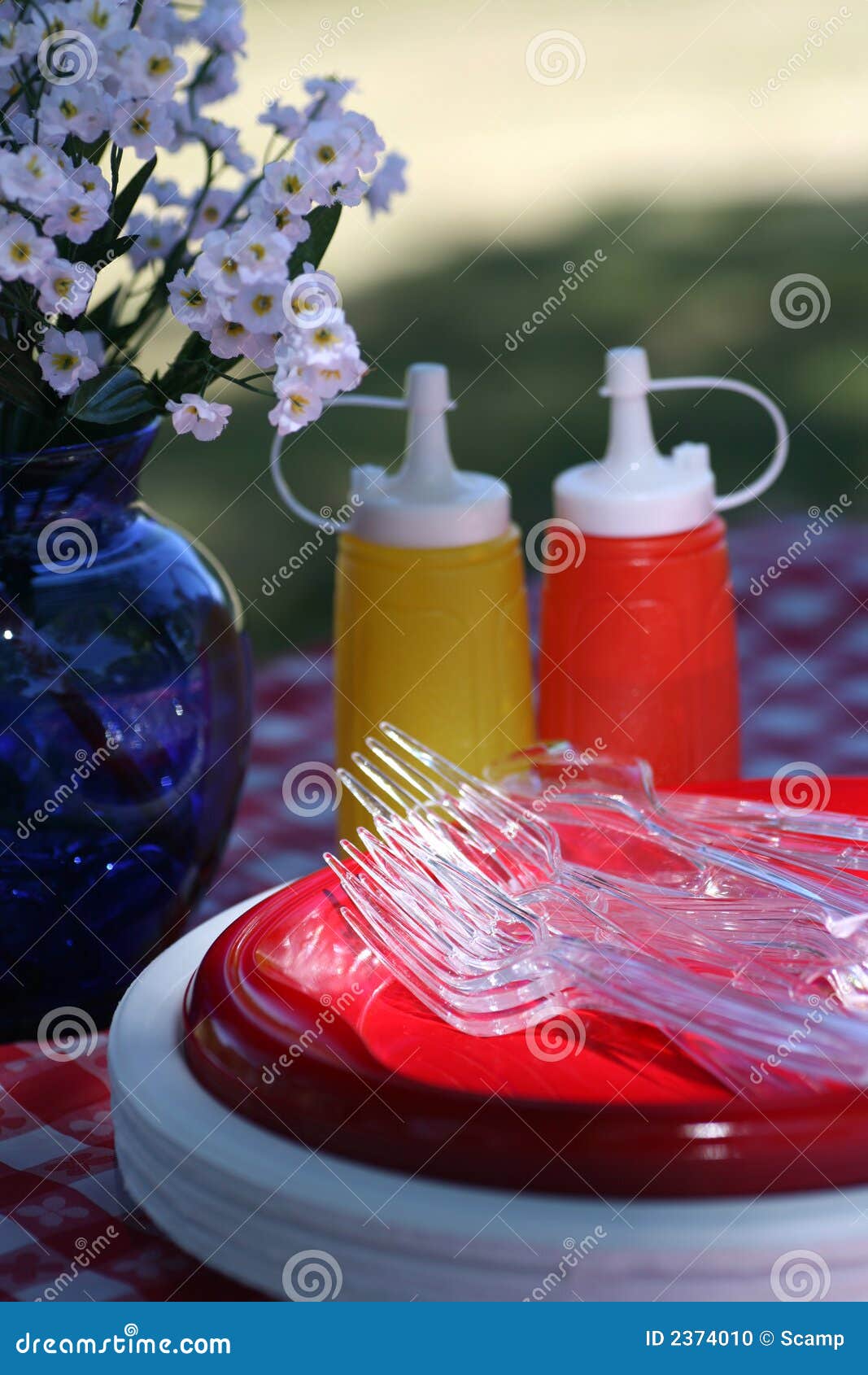 Picnic Supplies stock photo. Image of living, plastic - 2374010