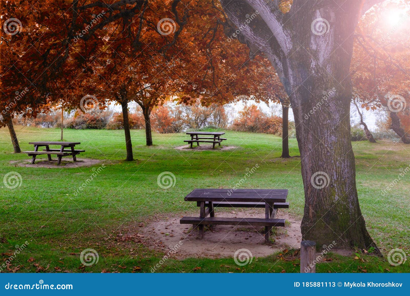 Picnic Table in Autumn Park Stock Image - Image of autumn, seasonal ...