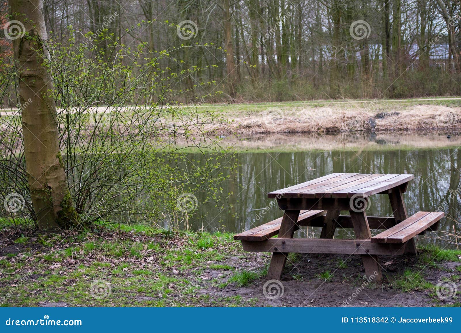 Picnic Table Bench in the Forest Nature Grass Trees Water Stock Photo ...