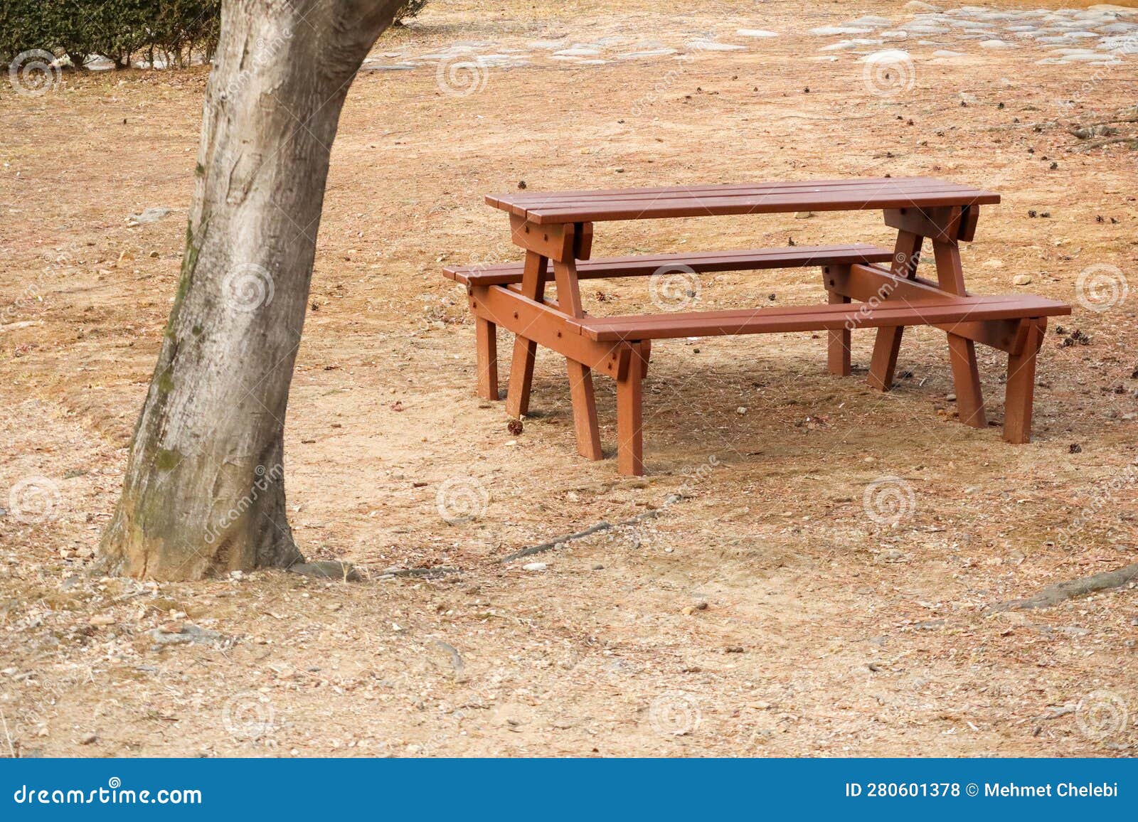 Picnic Table Bench Under Tree in the Park Stock Photo - Image of picnic ...
